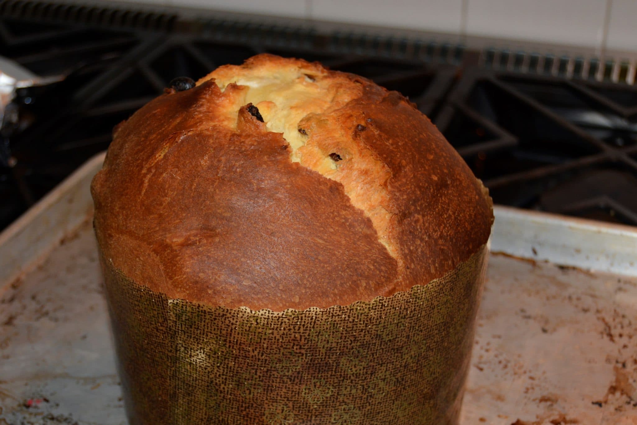 Slow Rise Panettone Recipe - 825 Main Products