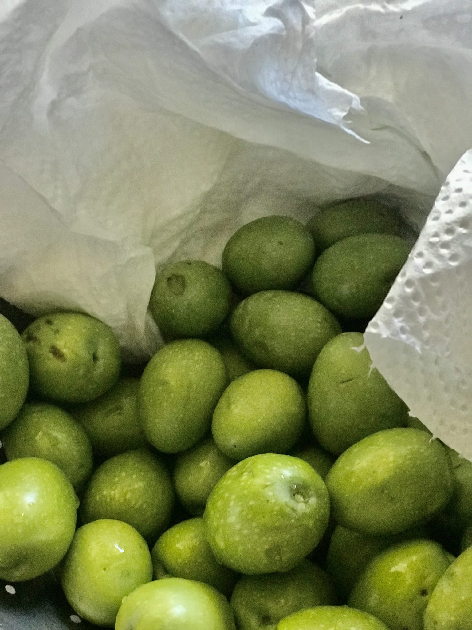 Cured Green Olive Recipe - 825 Main Products